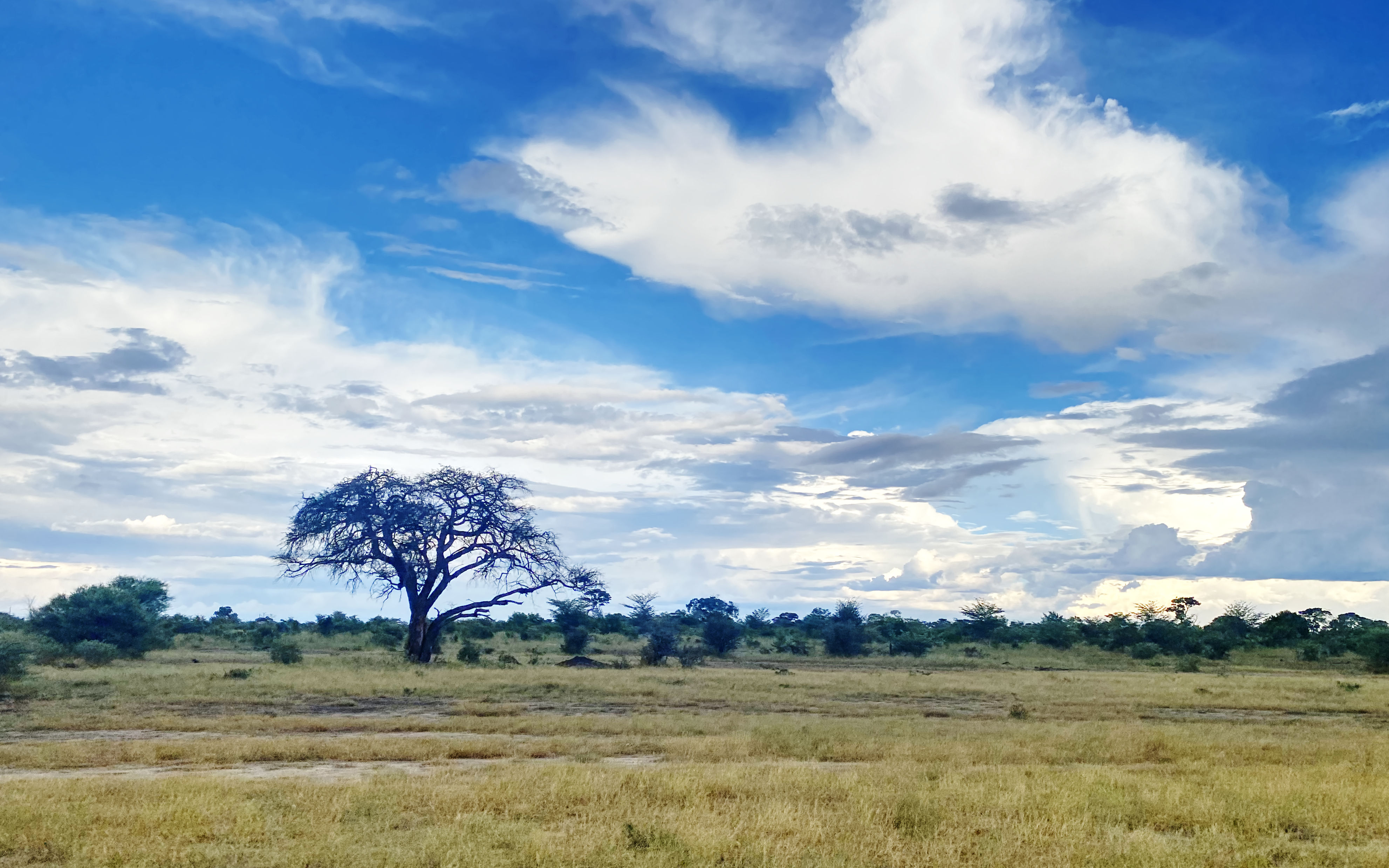 The Long Ribbon to the East — Through the Caprivi Strip – The Footstep ...